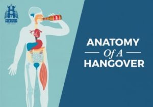 Anatomy of a Hangover— Hangover Heaven Las Vegas IV Specialists